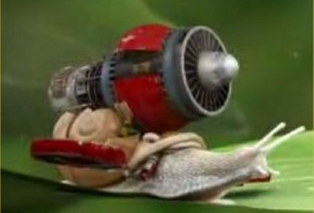 Optimization & Vectorization 2015